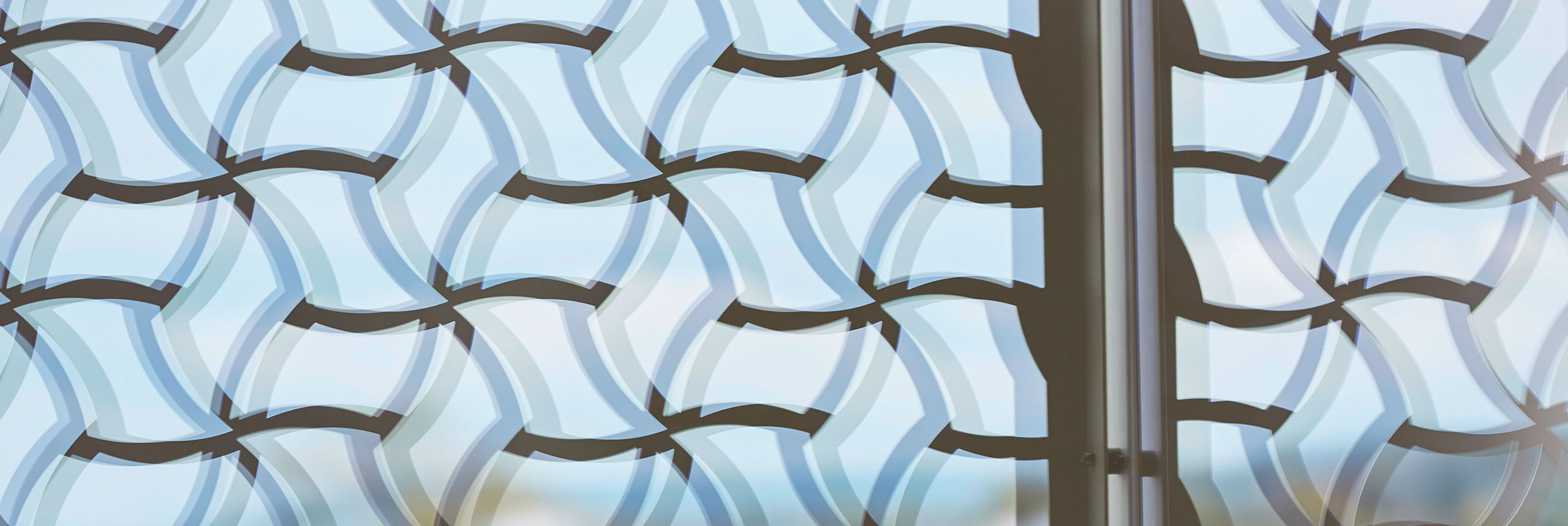 Portrait - Wellingtonia